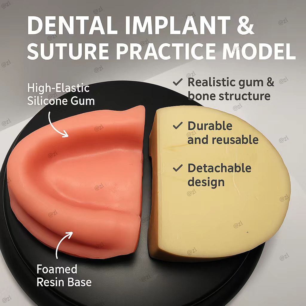 Implant Trainer - Medical Model Manufacture-Zhongli Group